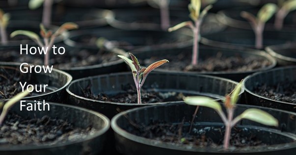 How to Grow Your Faith / Spiritual Meditations – Spiritual Meditations